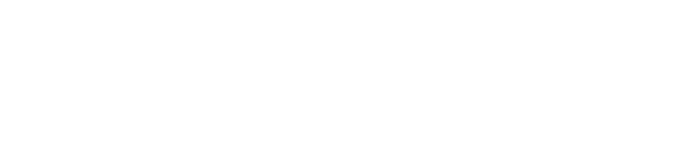 Fulcrum
